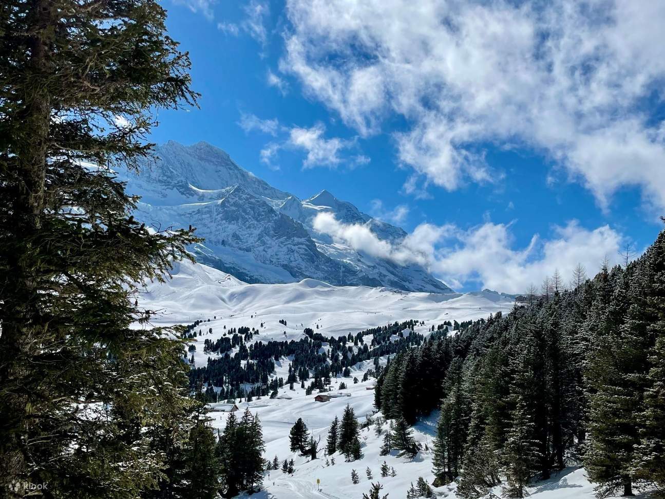 Ultimate Ski Starter Package with Ski Pass in Grindelwald - Klook