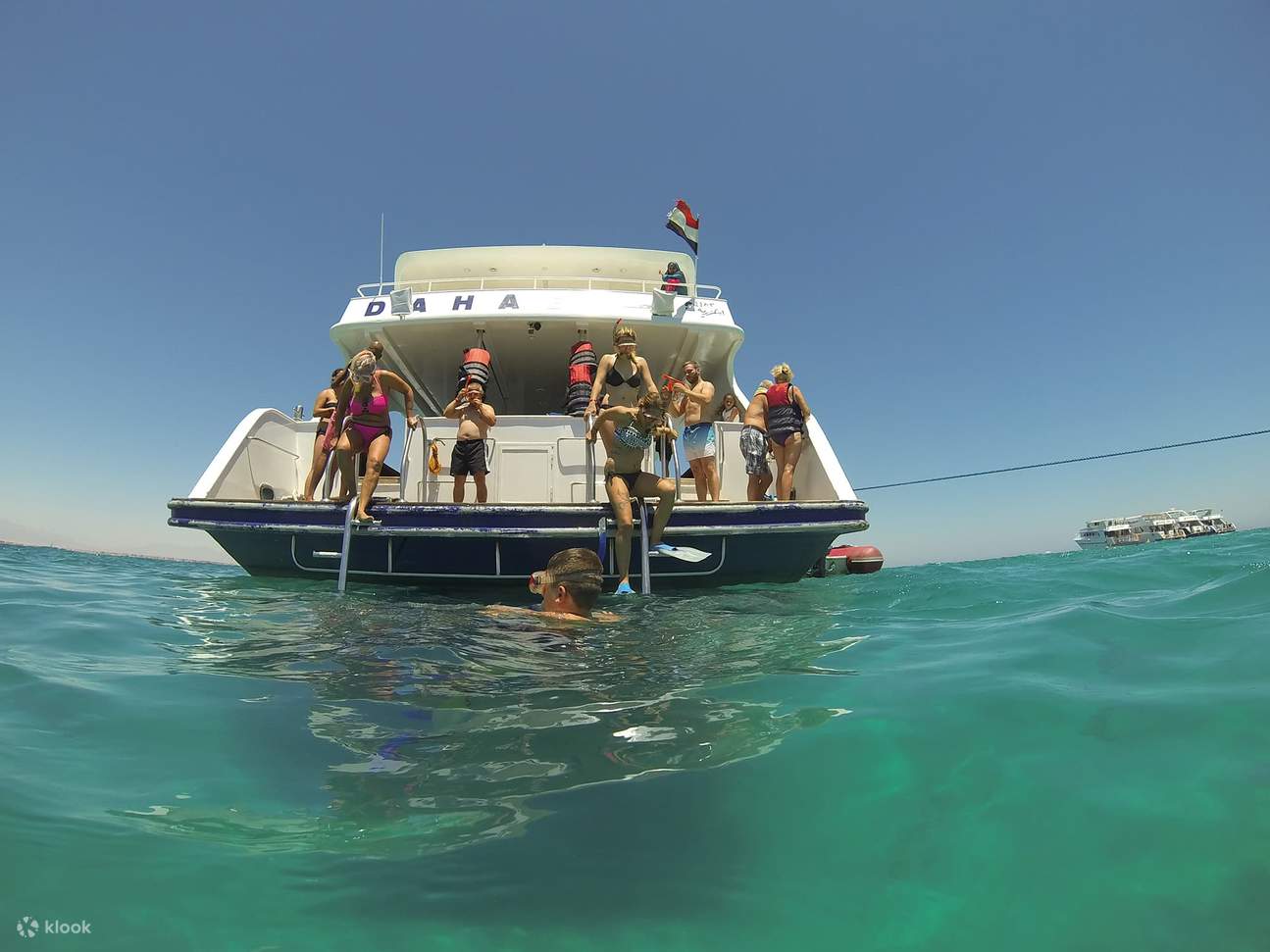 Dolphin House Snorkeling Trip from Hurghada - Klook Australia