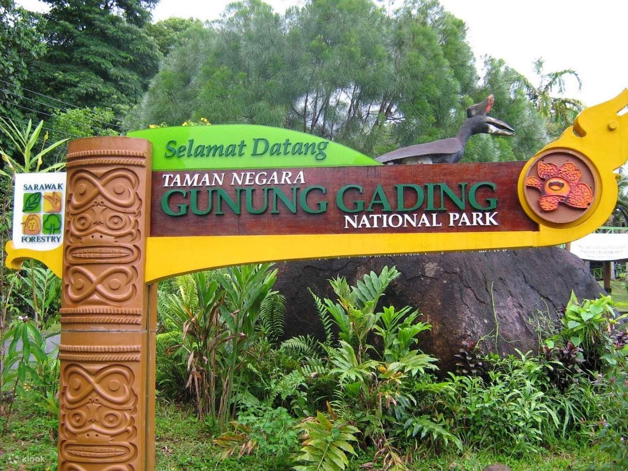 Gunung Gading National Park Day Tour - Klook