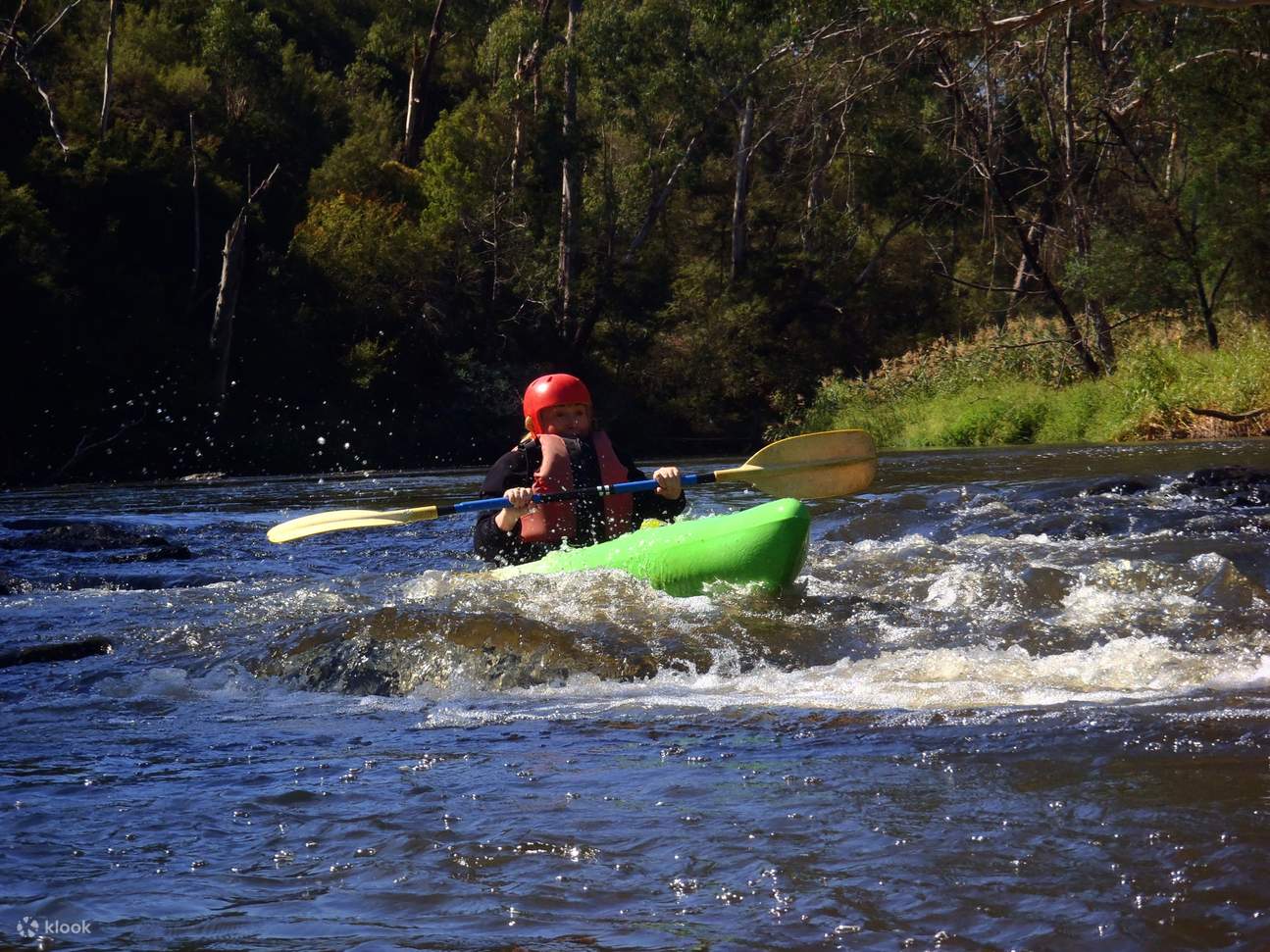 White Water Kayaking & Abseiling in Yarra Valley - Klook