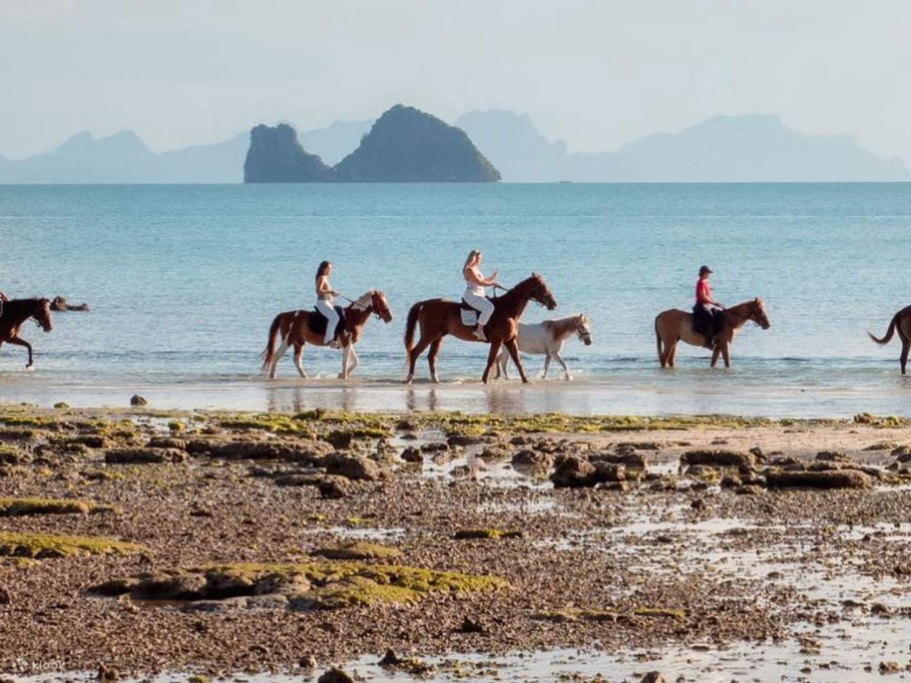 Koh Samui: Sunset Trail Horse Riding on The Beach - Klook