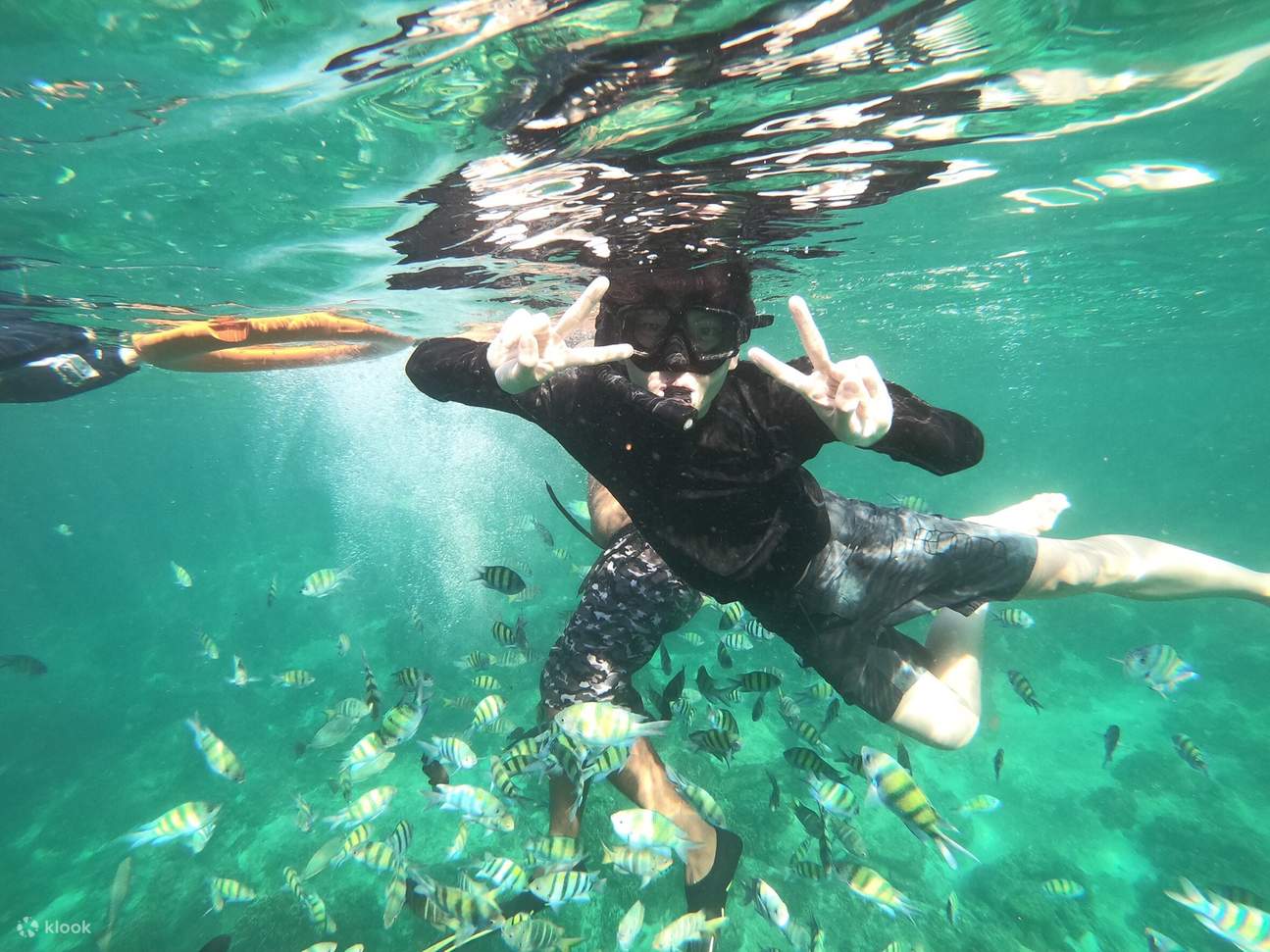 Sertai Dalam Menaiki Bot Tradisional Mewah Persendirian Pulau Coral ...