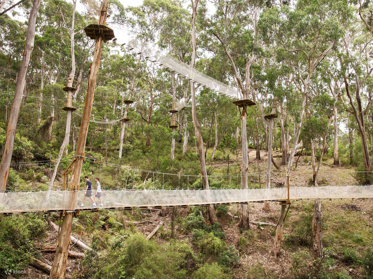 Live Wire Park Experience Pass - Klook