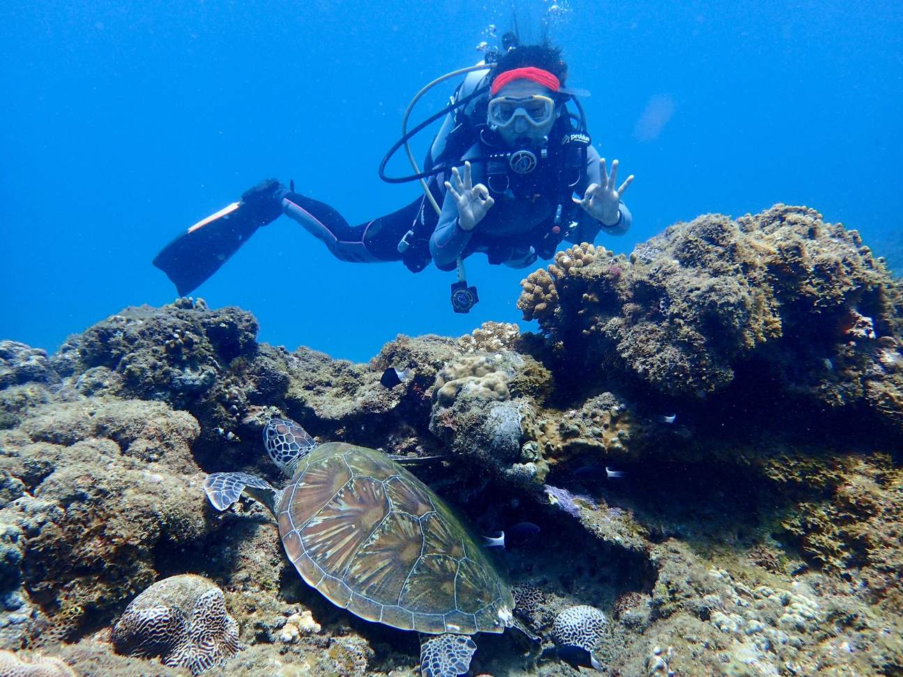 Pingtung: Kenting Wanlitong Beach Water Entertainment Trip - Diving ...