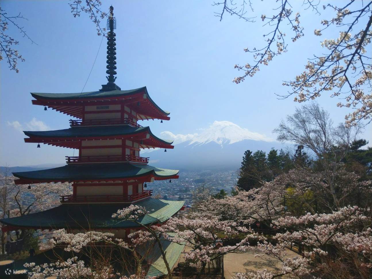 Tour in autobus di un giorno del Monte Fuji, del Parco Oishi e del ...