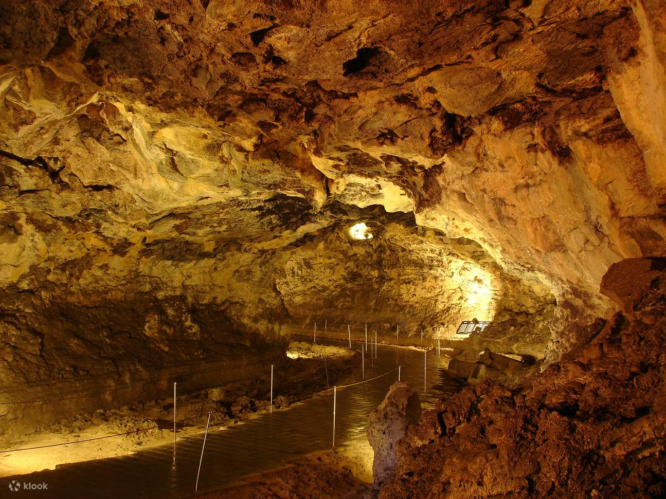 Tiket masuk Hallim Park di Jeju - Klook Indonesia