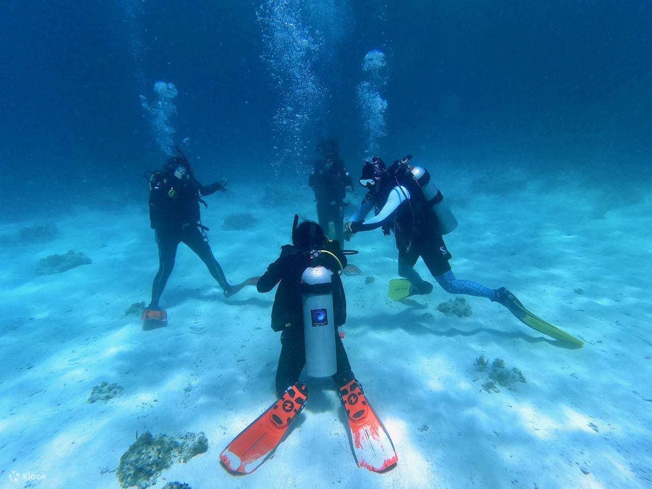 Dive with Confidence: PADI Scuba Refresher in Bohol with PADI 5 Star ...