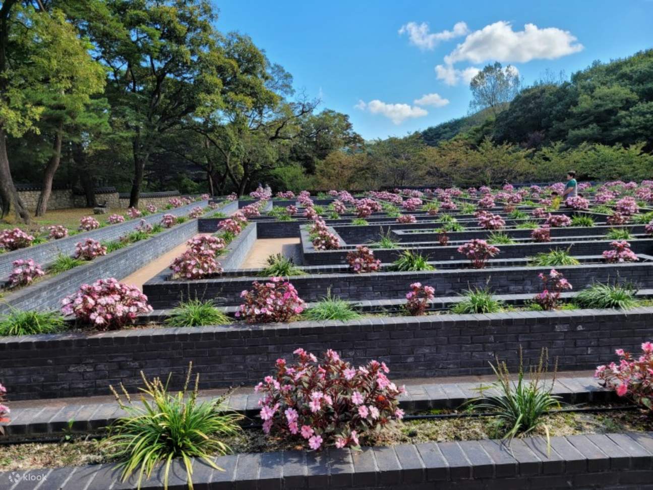 Gimcheon Traditional Temple & Hanbok Experience & Foot Bath Day Tour ...