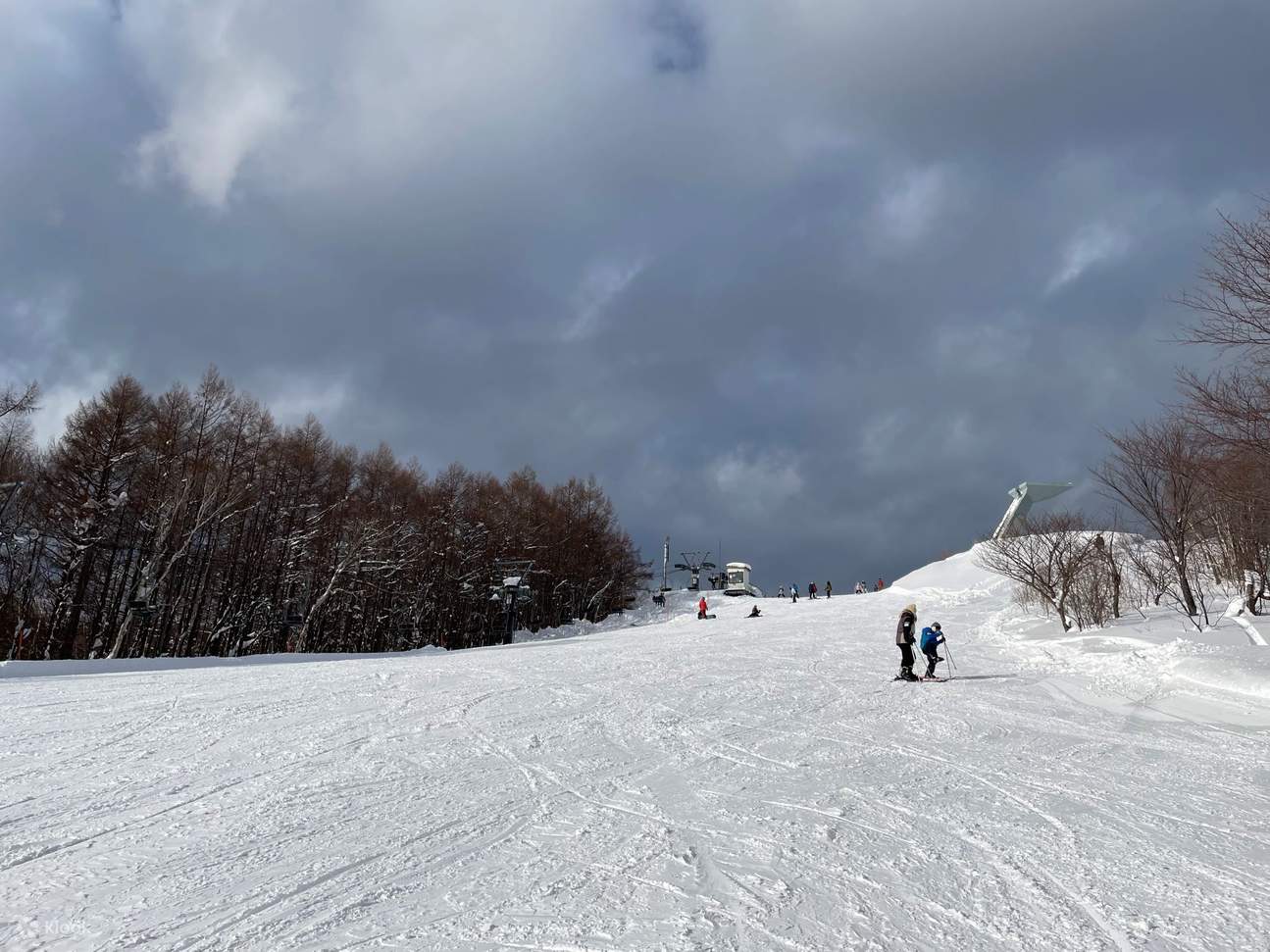 1 Day Teine Private Skiing in Sapporo - Klook Singapore