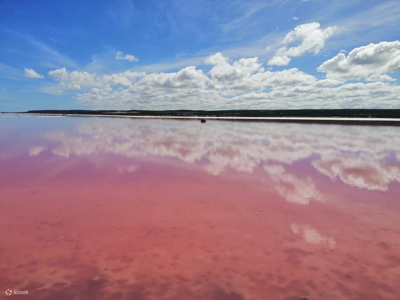 3 Day Pink Lake, Kalbarri and Margaret River Tour from Perth - Klook