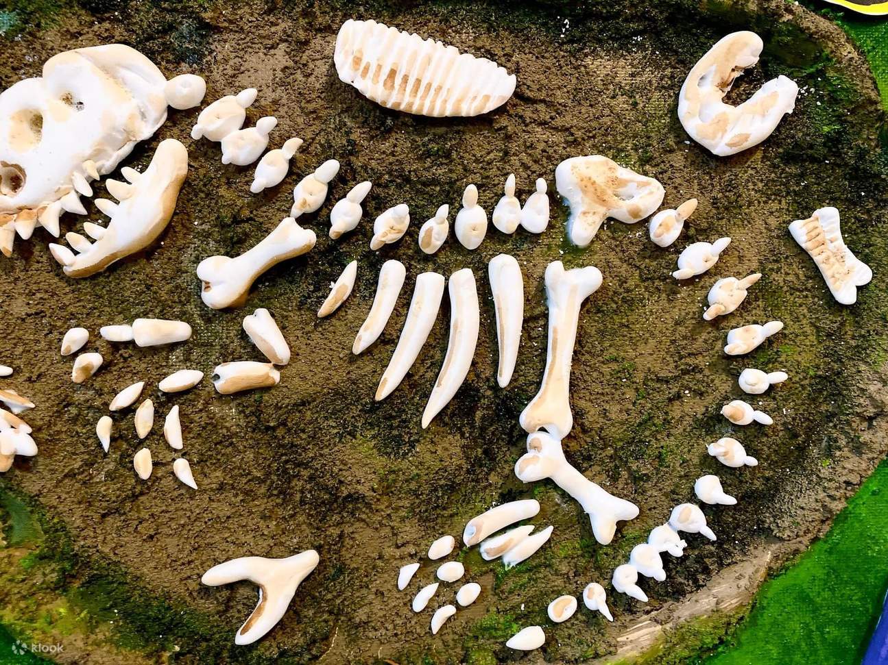 The Living Art｜Exploring Dinosaur Fossils Clay Oil Painting - Klook The ...