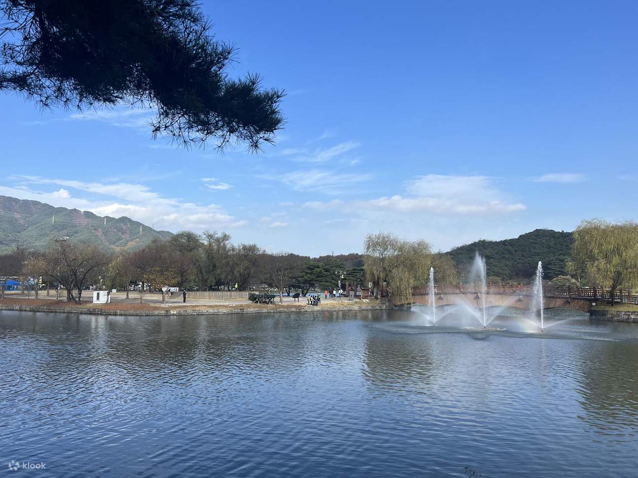 Cheongpung Lake Cable Car & Cruise + Uirimji Reservoir One Day Tour ...