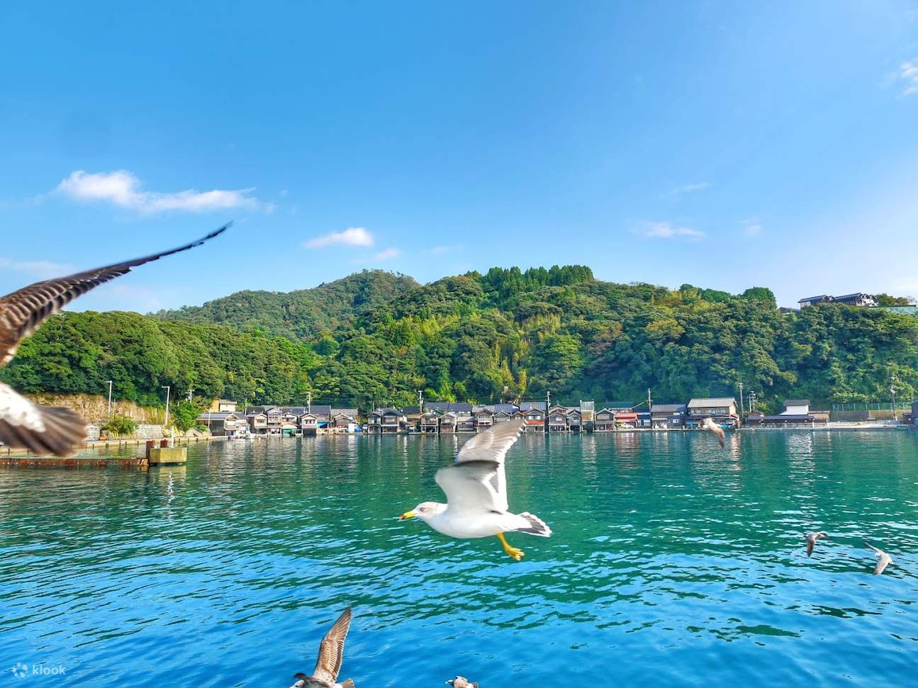 Japan's Three Most Scenic Spots: Amanohashidate, Ine Funaya, and Ine ...