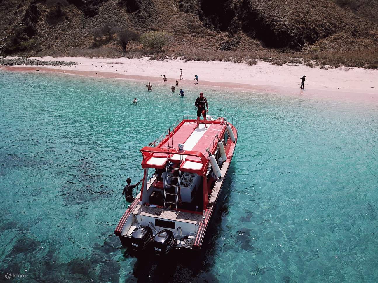 Lawatan Sehari Penuh Bot Laju Paus Merah dari Labuan Bajo - Klook ...