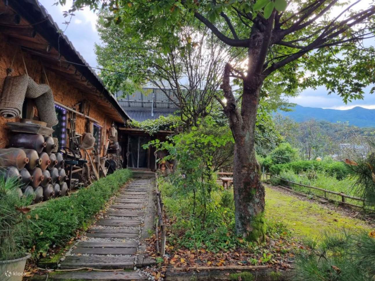 Gimcheon Traditional Temple & Hanbok Experience & Foot Bath Day Tour ...