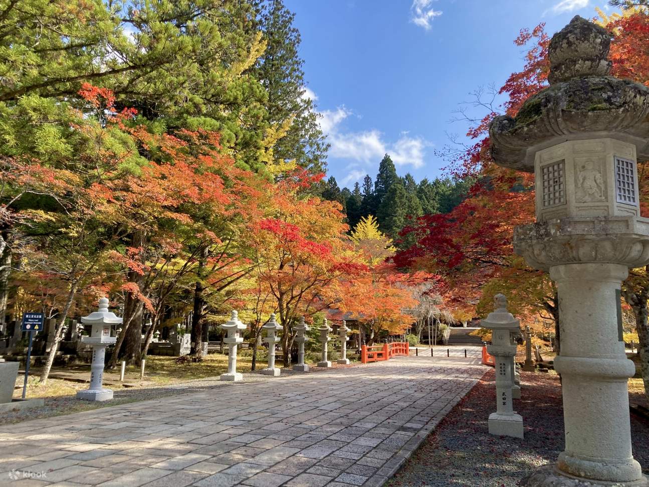 Mt. Koya Autumn Leaves Viewing & Orange Picking Day Tour from Osaka - Klook