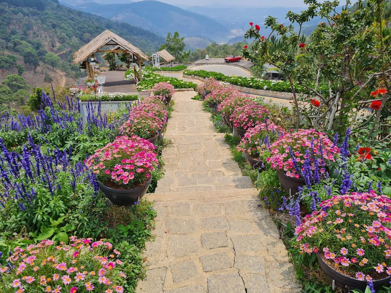 Da Lat Day Tour To: Go Kart, Mongo Land & Flower Highland - Klook