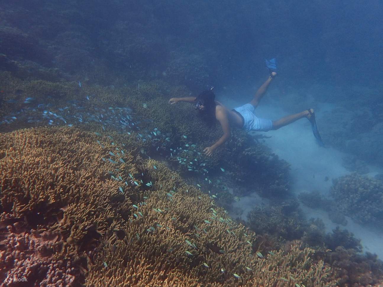 Introductory Freediving Class in Guam - 클룩 Klook 한국