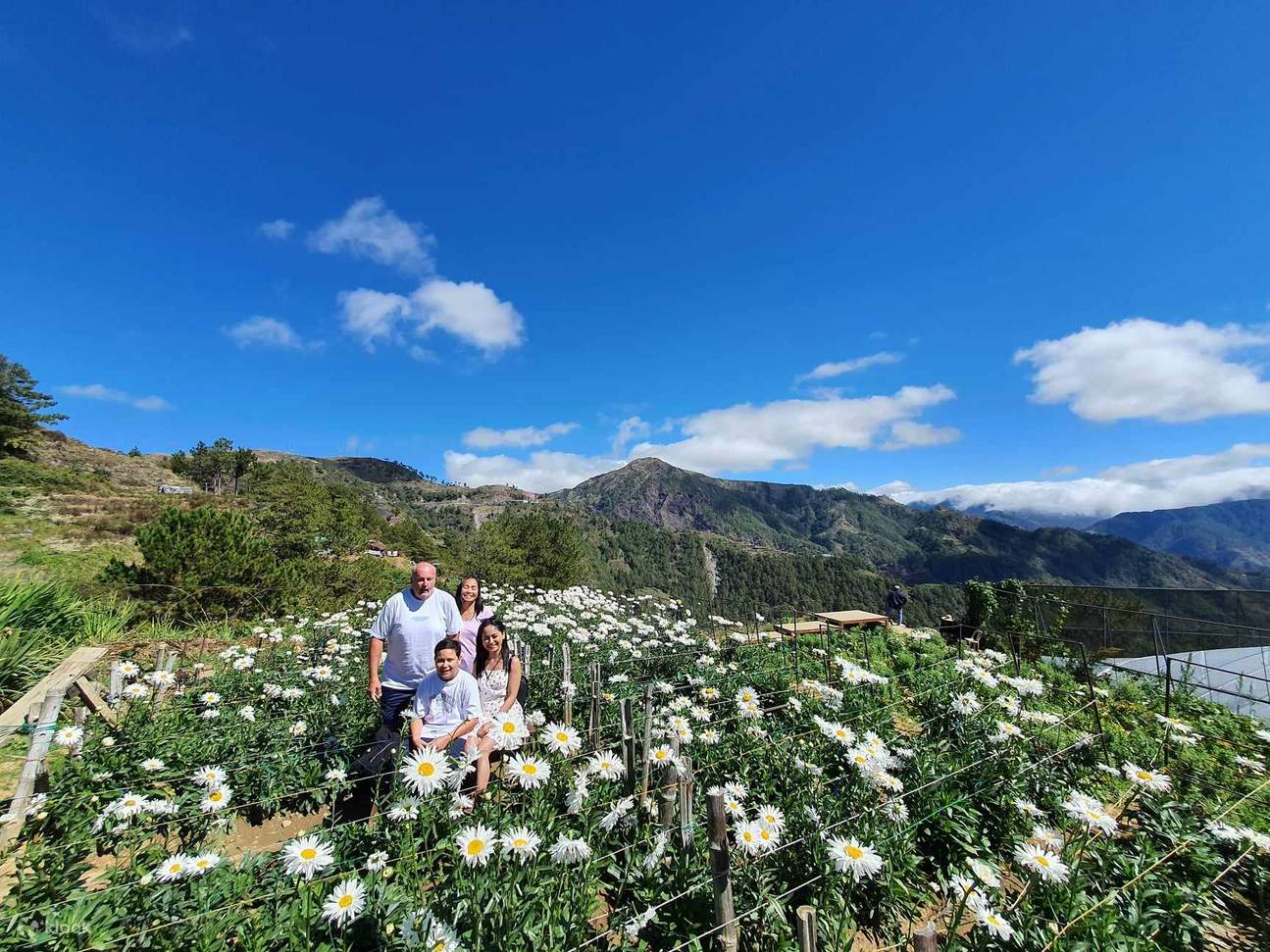 Northern Blossom & Beyond: Atok Gardens Private Day Tour - Klook ...