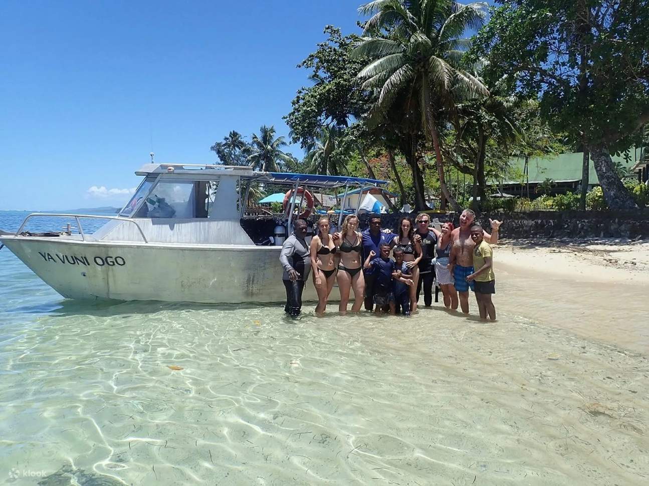 Dive into Adventure: Pacific Harbour Soft Coral & Wreck Dive with PADI ...