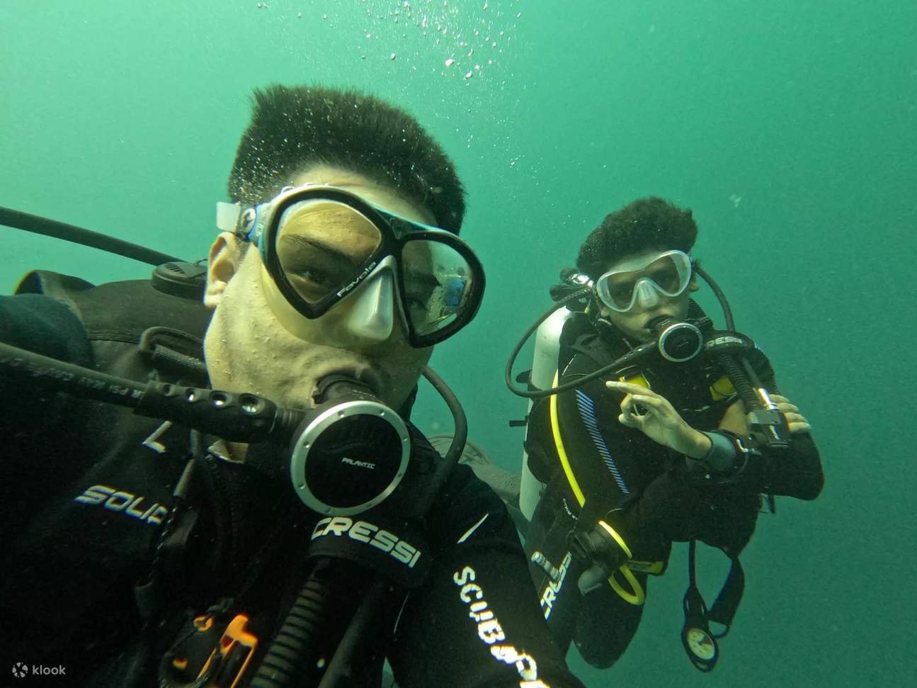 Padi 리조트와 함께하는 갈라파고스 Padi 오픈워터 다이버 클룩 Klook 한국