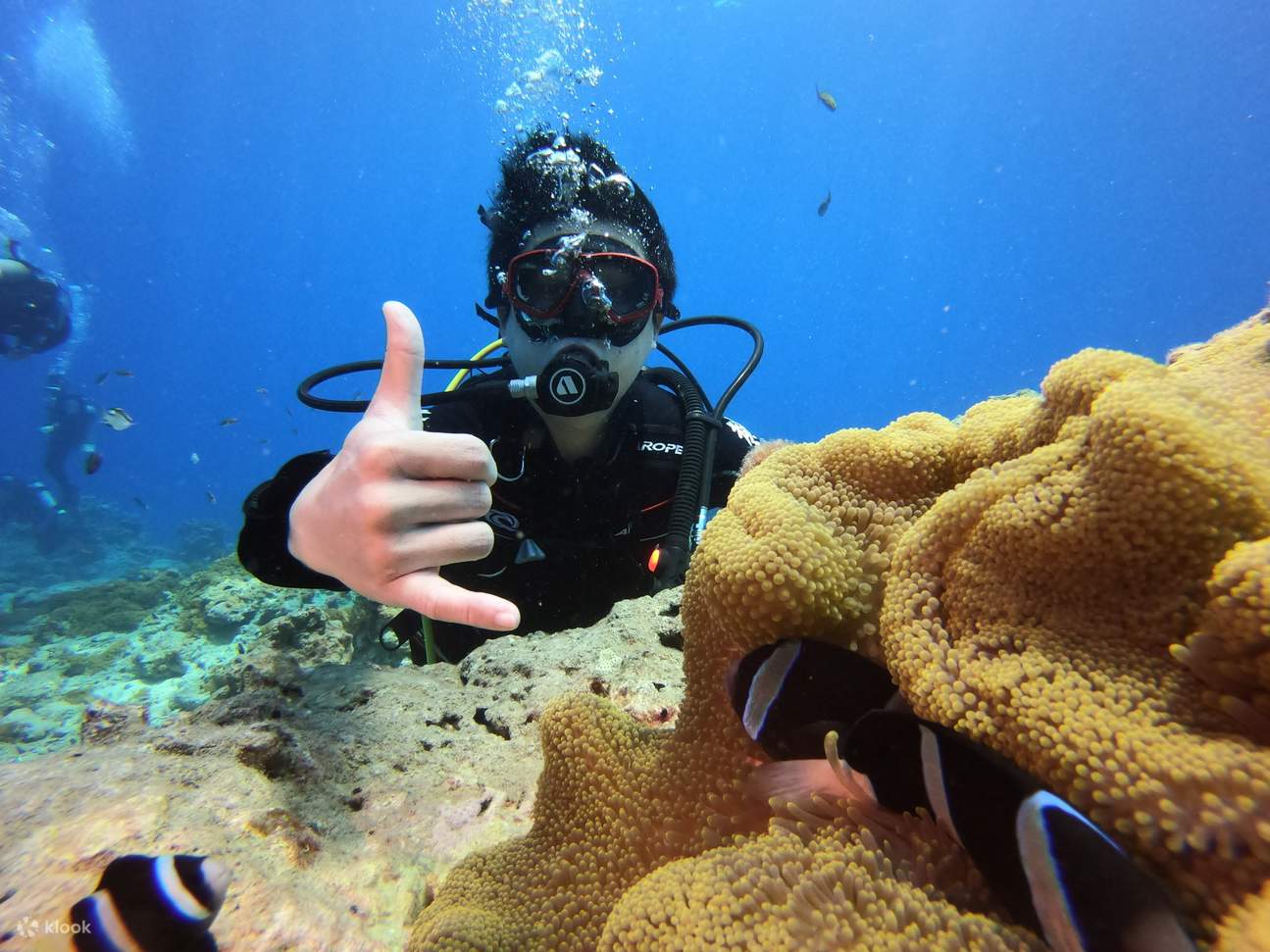 Green Island｜Scuba Diving Experience｜Hot Wave Diving Center - Klook ...
