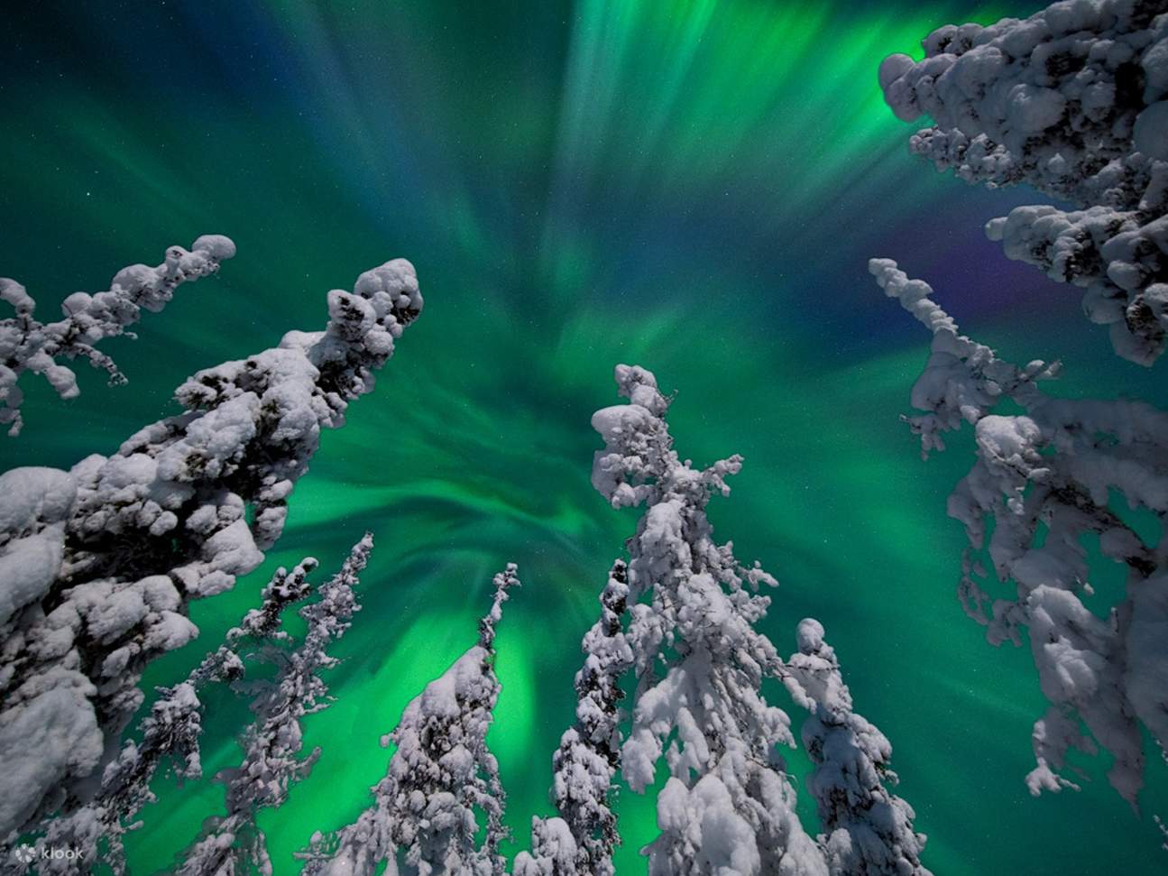 Fairbanks Aurora-Viewing Tour in Alaska - Klook Singapore
