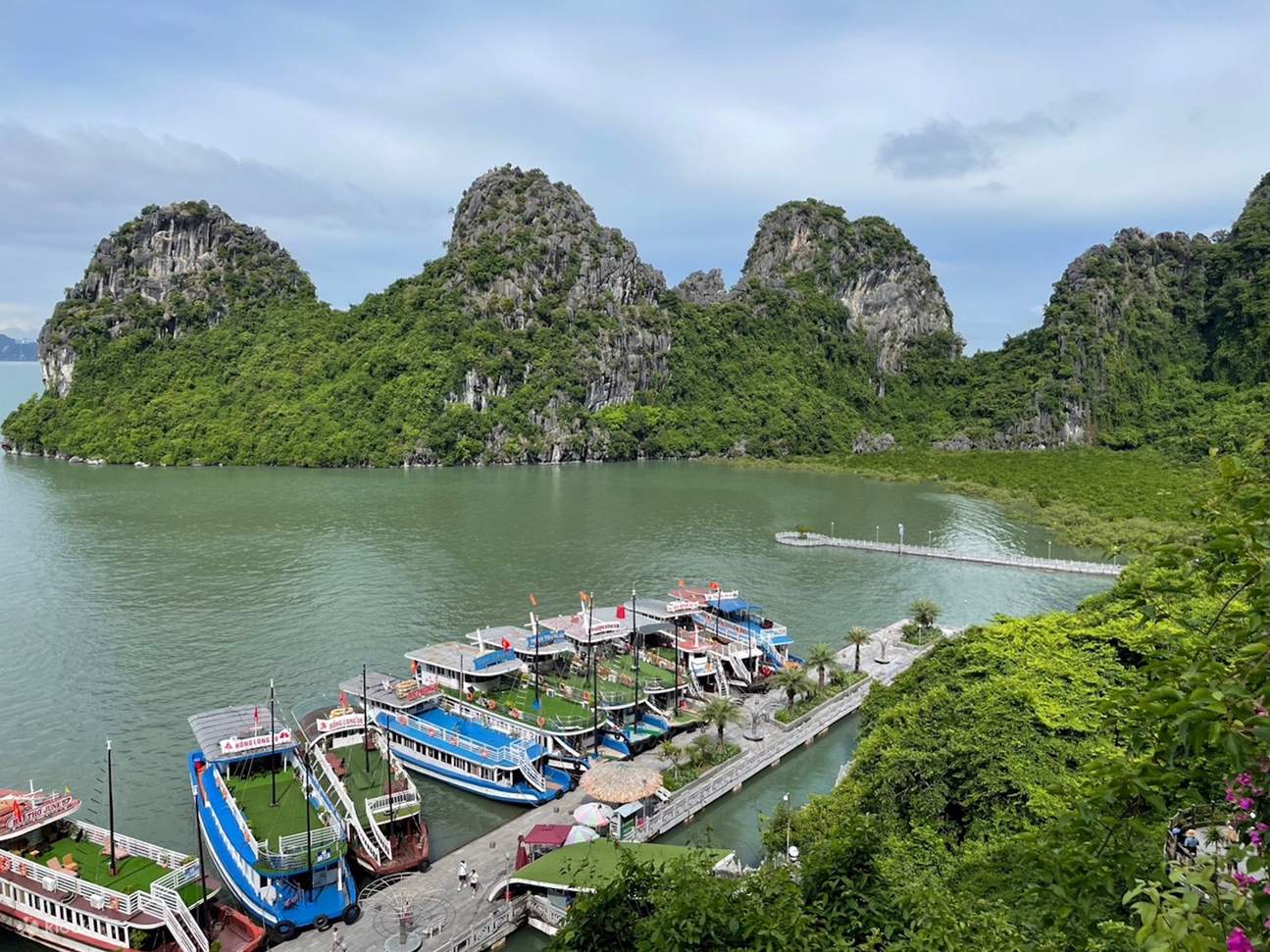 [Route 1] ทัวร์ฮาลองเบย์ โดยเรือสำเภา Bai Tho พร้อมไกด์พูดภาษาญี่ปุ่น ...