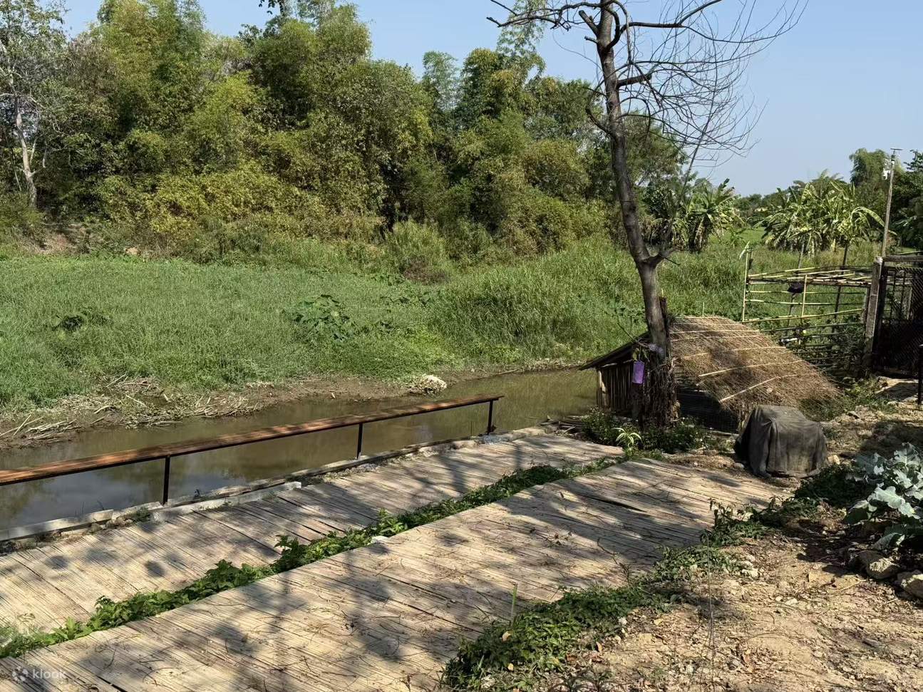 Chiang Mai: Riverside Thai Cooking Class - Klook Singapore