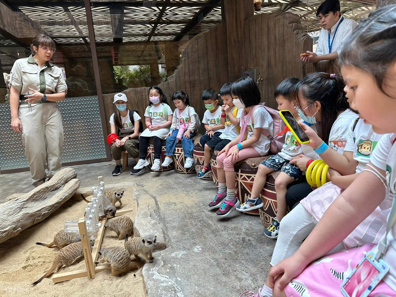 【Monkey Tree Exclusive】Ocean Park Conservation Camp - Klook