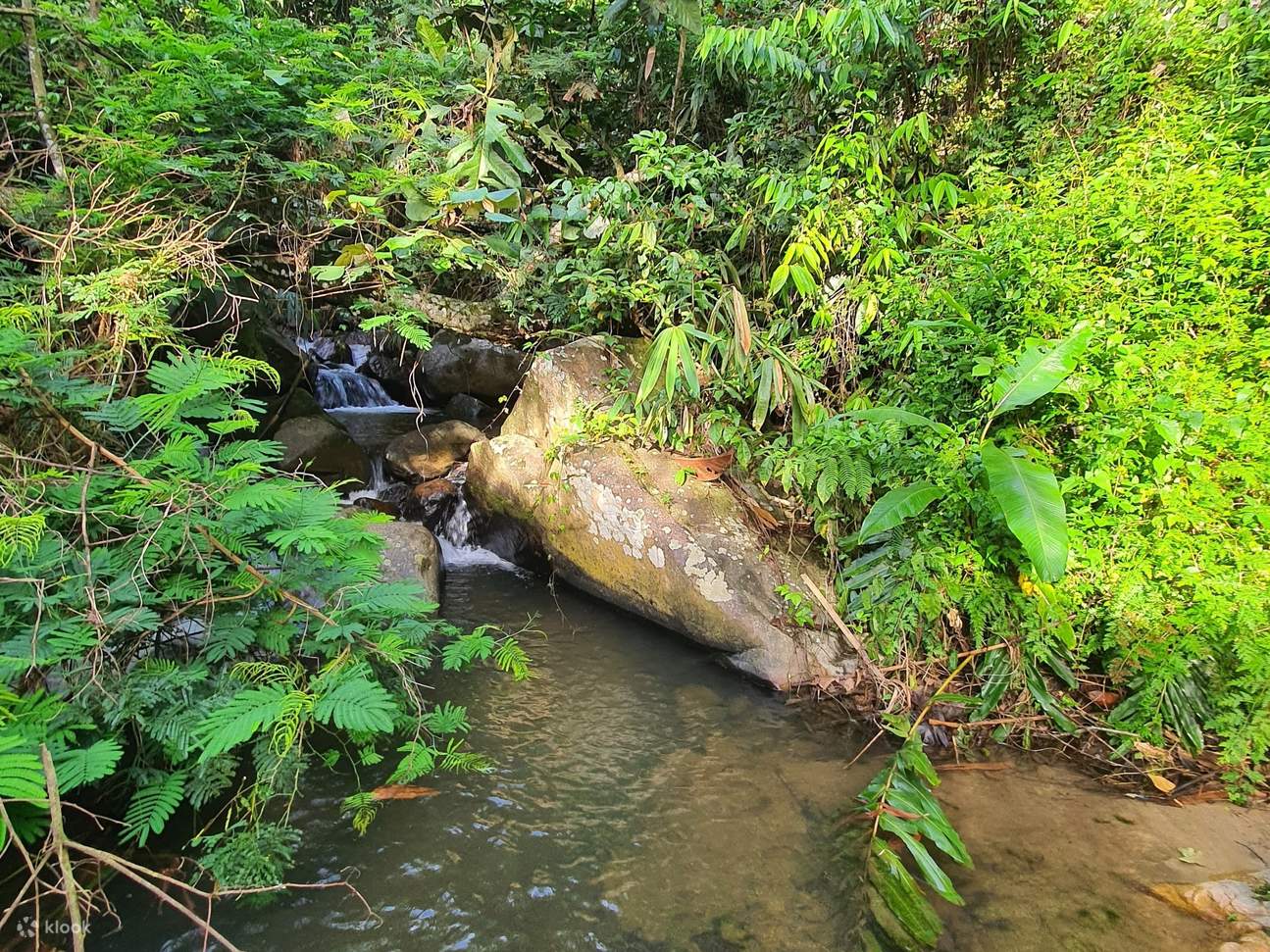 Waterfall Trekking Experience with Overnight Stay at Genting View ...