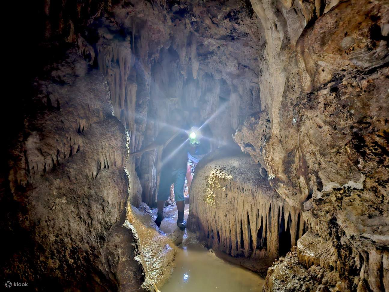 From Krabi/Phuket/Khao Lak: Private Day Tour to Khao Sok - Klook United ...