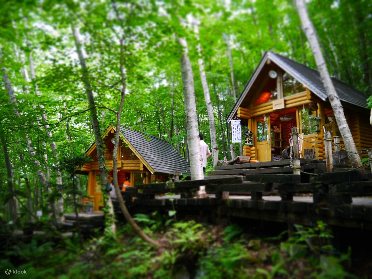 5D4N Hokkaido, Biei, and Furano Join In Land Tour - Klook Singapore