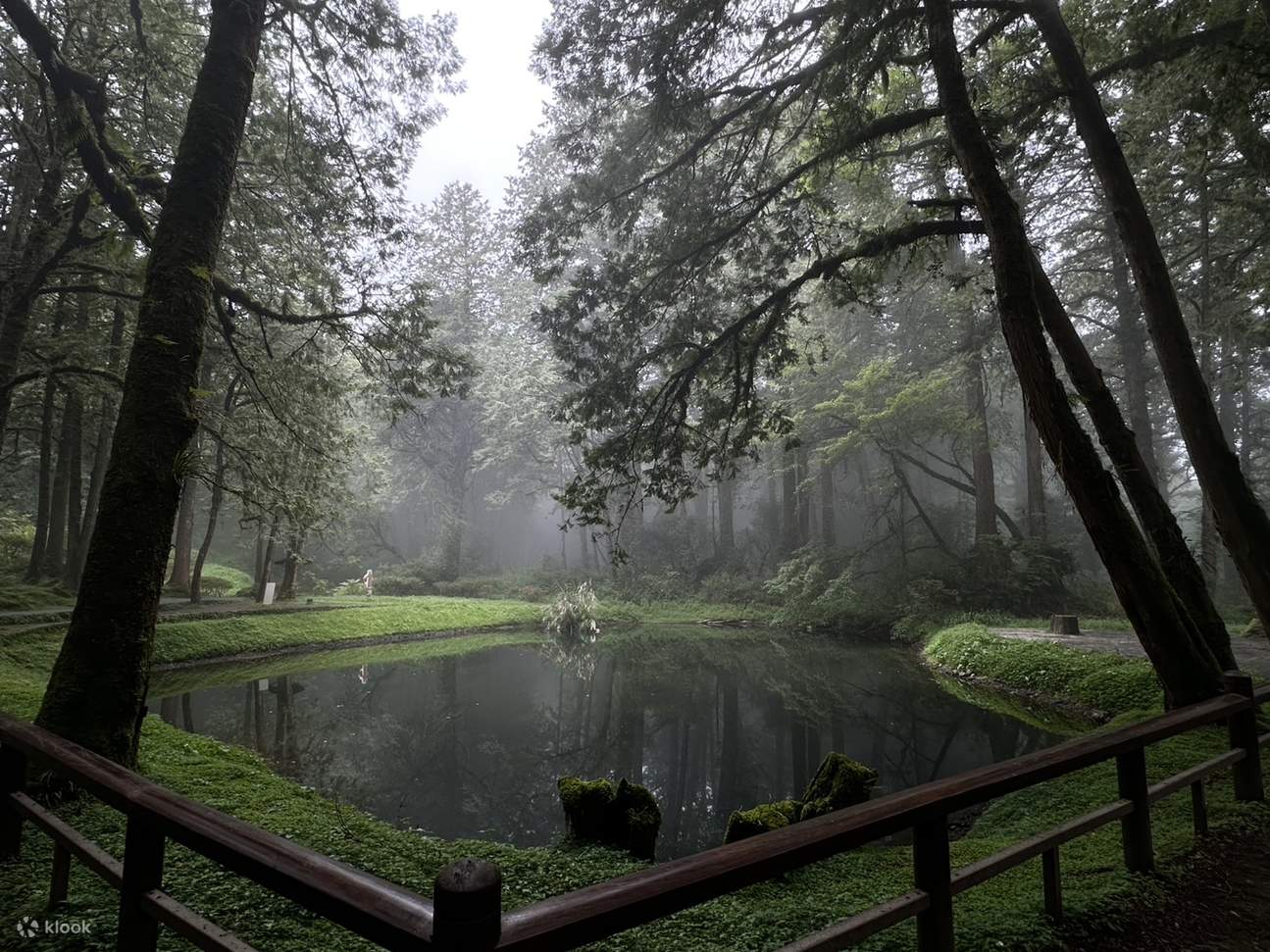 Alishan Day Tour (Eternal Bridge & National Forest Recreation Area ...