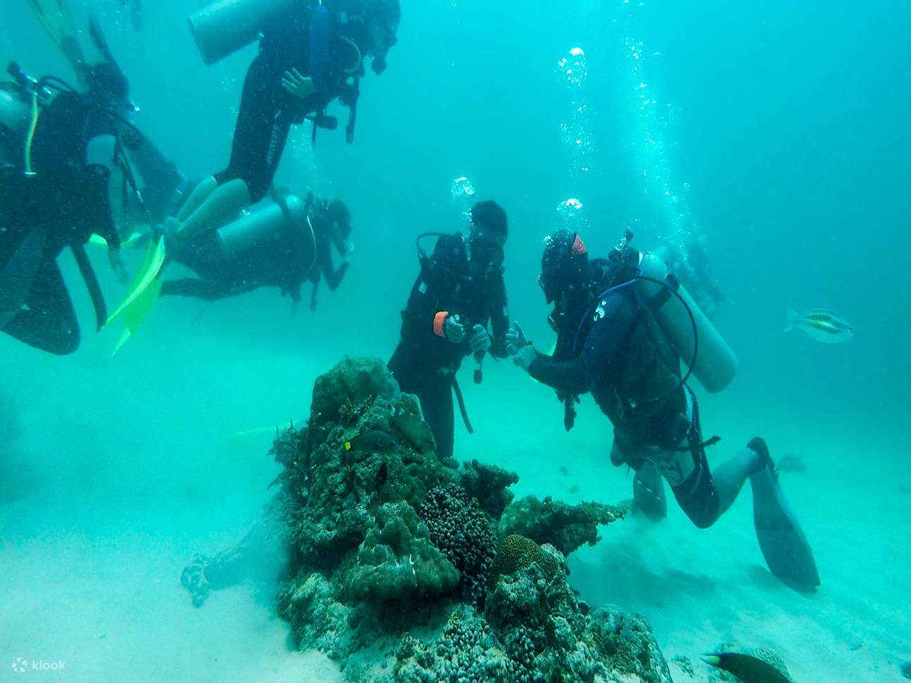 Sepanggar Island Diving Experience in Sabah, Malaysia - Klook ...