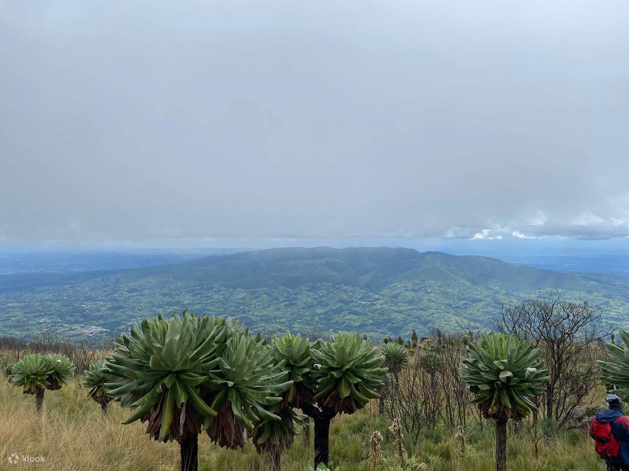 Discover Nature's Magic: One-Day Hike to the Enchanting Seven Ponds of ...