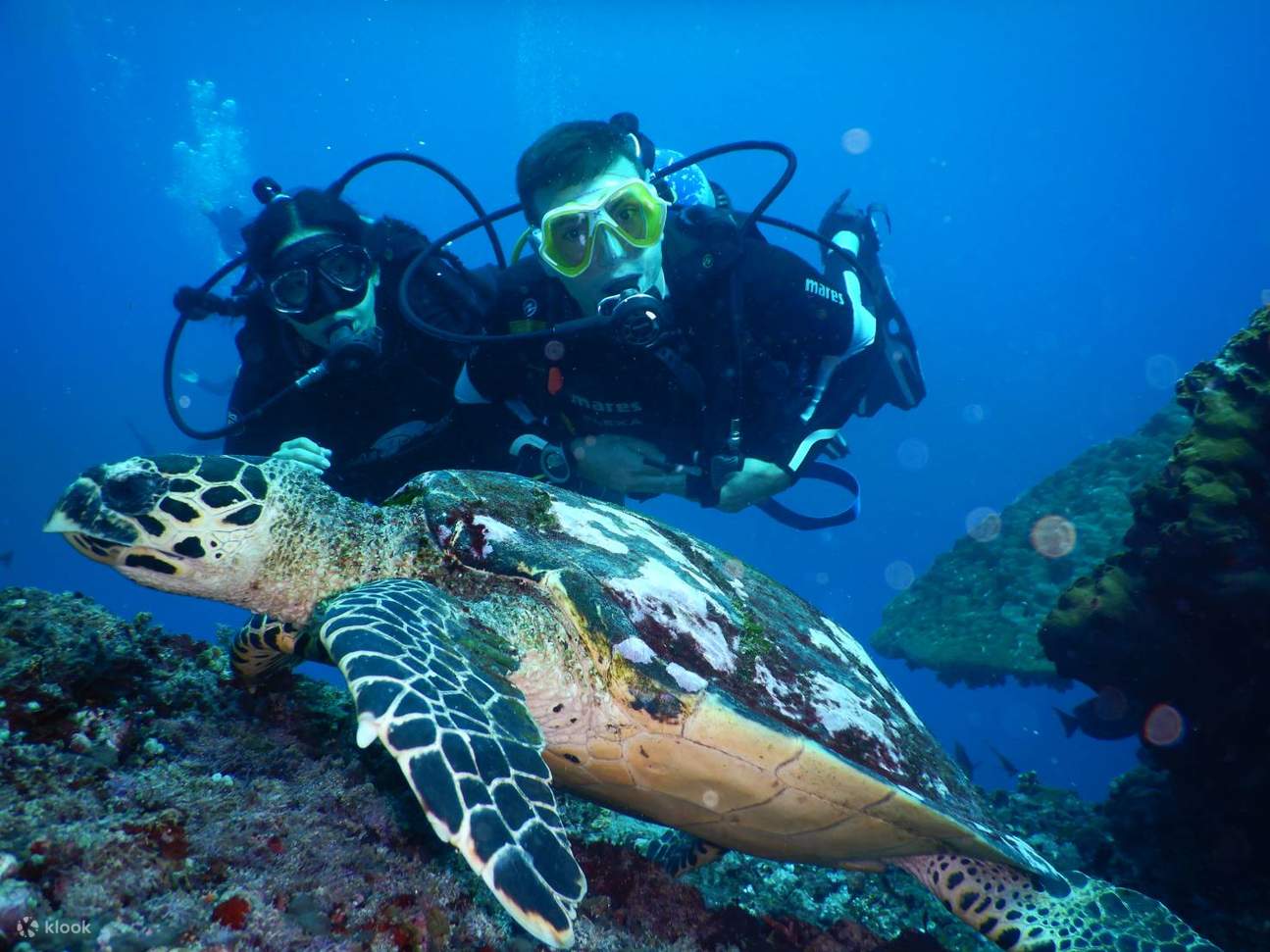 Explore Underwater Wonders with 2 Dives in Padang Bai, Bali's Premier ...