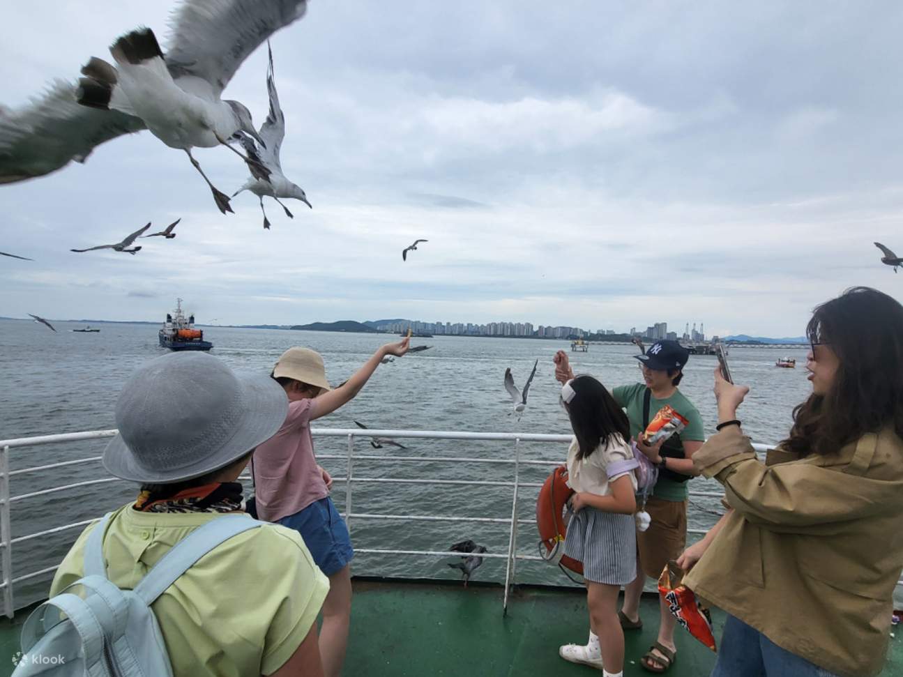 Rail Bike & Gwangmyeong Cave & Seagull Feeding & Chinatown & Fairy Tale ...