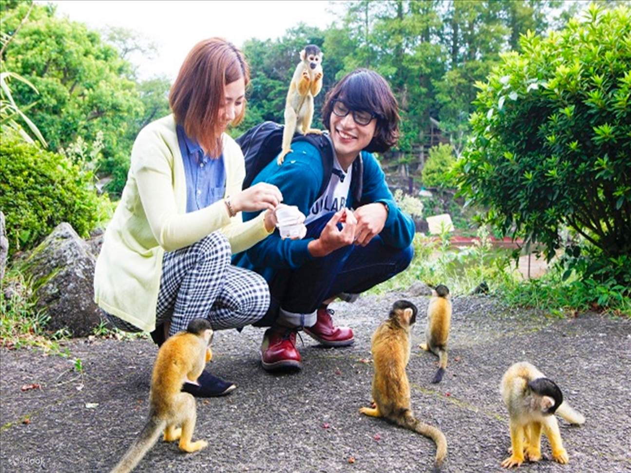 Izu Shaboten Zoo Ticket in Nagoya - Klook
