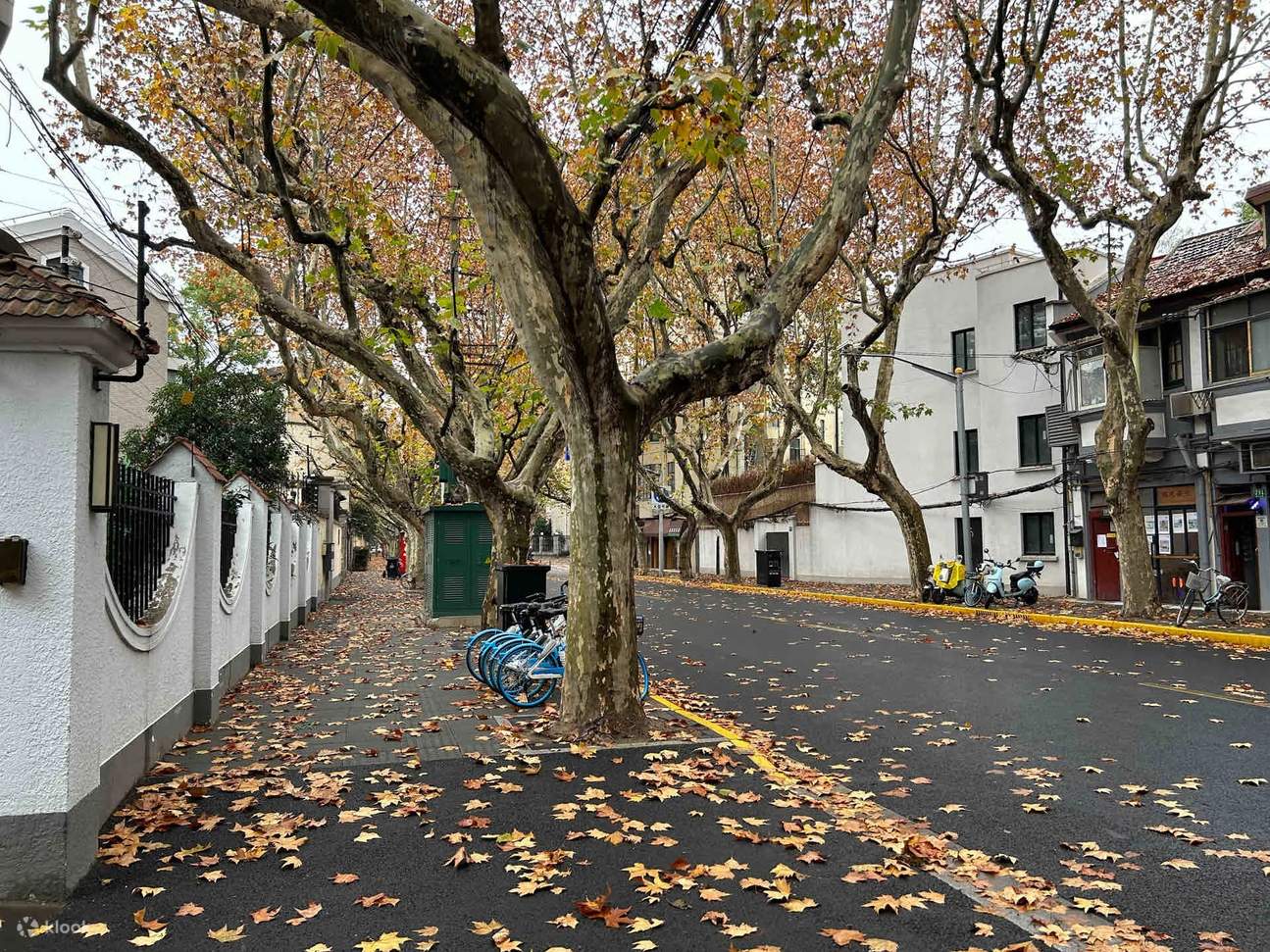 Yuyuan Road Historical and Cultural Reserve Lao Kele Special Guide ...