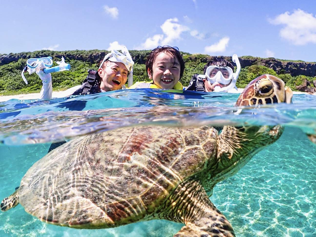 Miyako Island | Outstanding transparency! Snorkeling with sea turtles ...