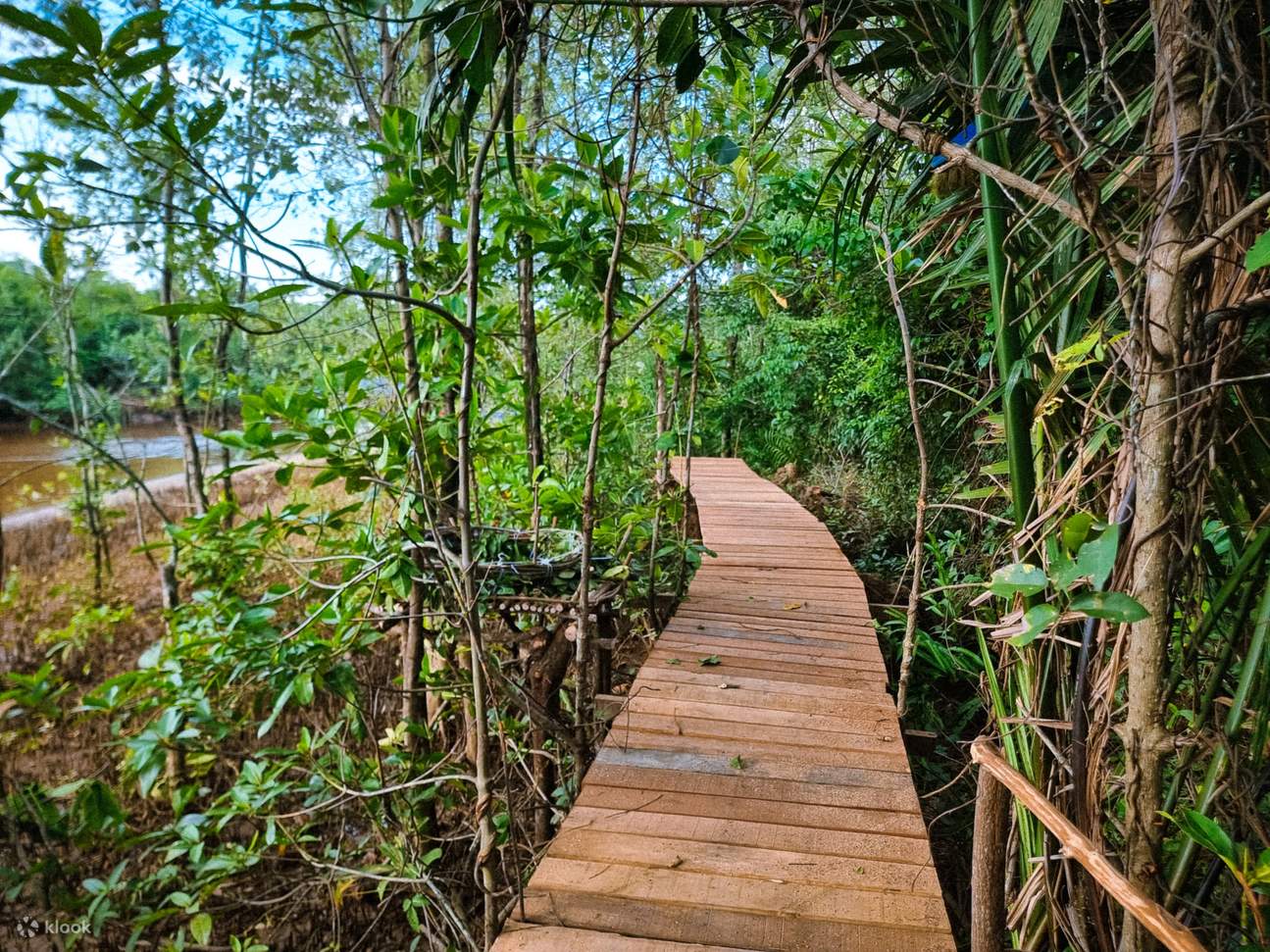 Bongawan Mangrove River Cruise, Fireflies, Sky Mirror dengan Fotografer ...