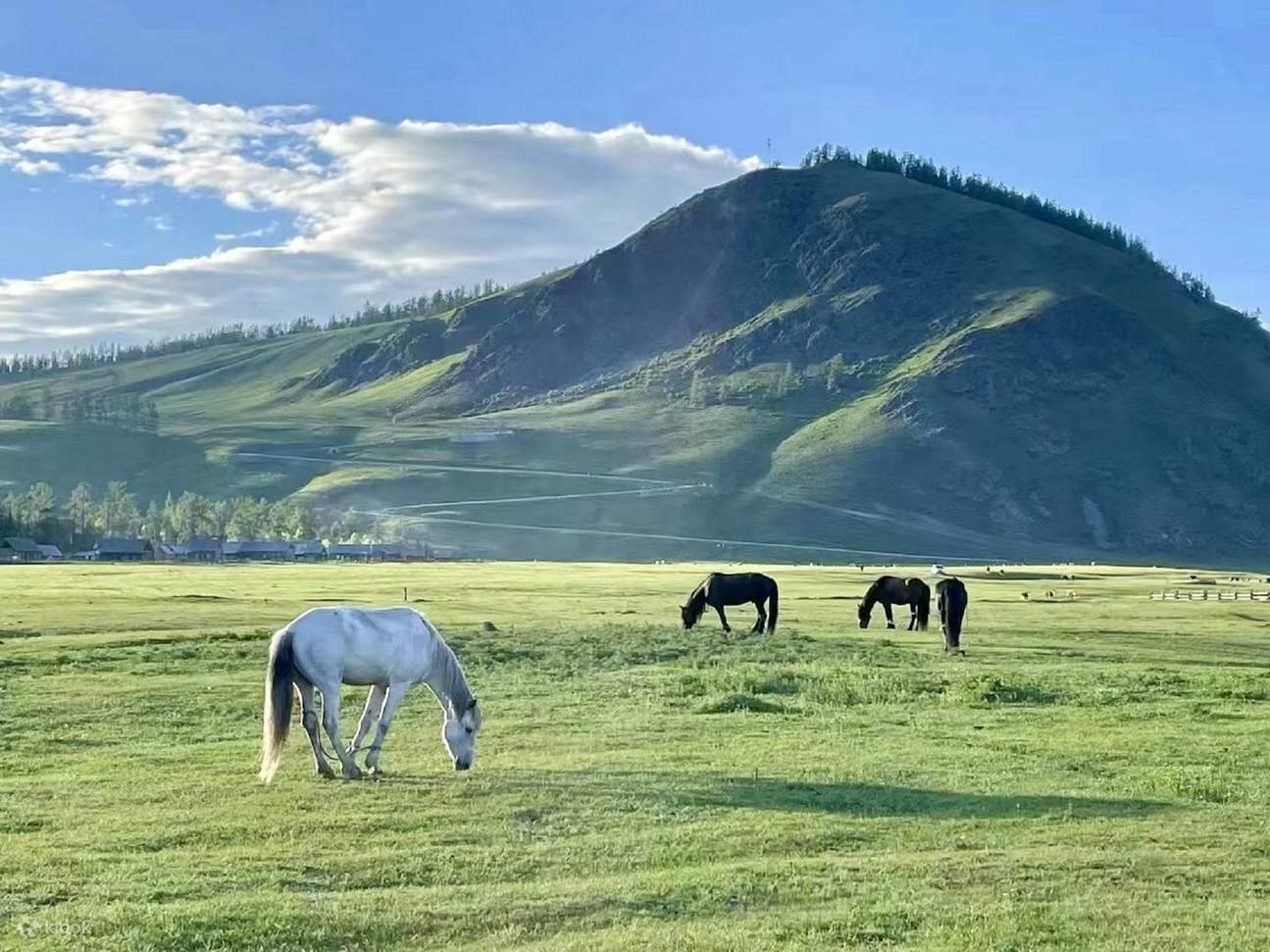 6-Day Western Sichuan Classic Loop Tour (Shuangqiaogou in Siguniang ...