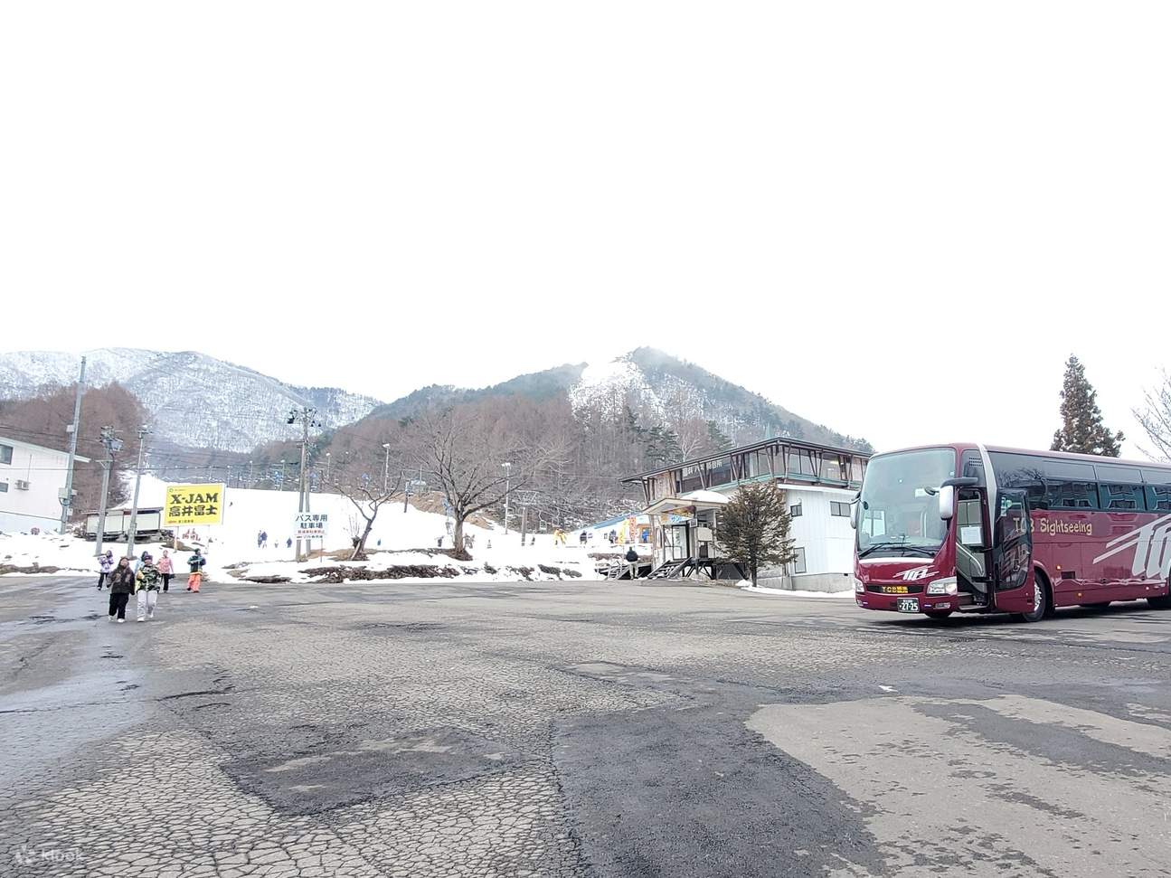 One-day skiing trip to Nagano, Japan (1 person): Mt.KOSHA Night Se ...