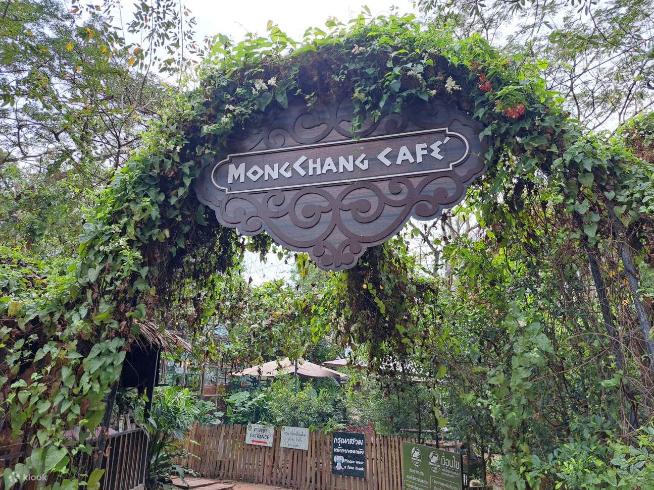 One-Day Tour from Bangkok to Pattaya with Elephant Cafe and more ...