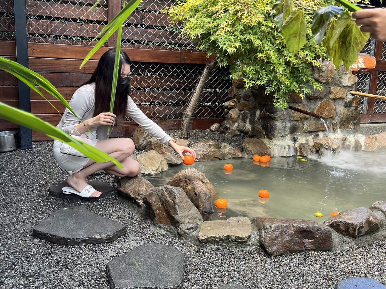 Zhang Mei Ama’s Farm Ticket in Yilan - Klook Singapore