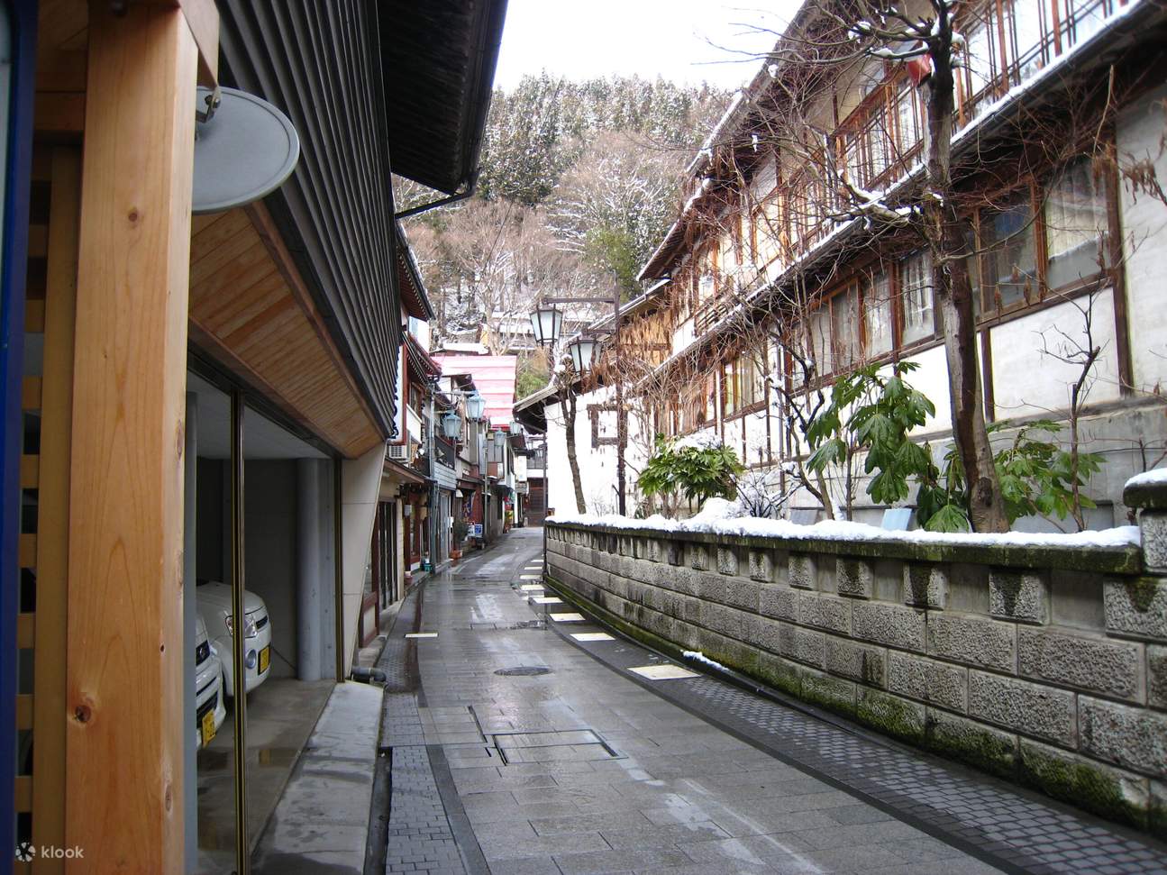 Snow Monkey & Shibu Onsen Private Tour - Klook