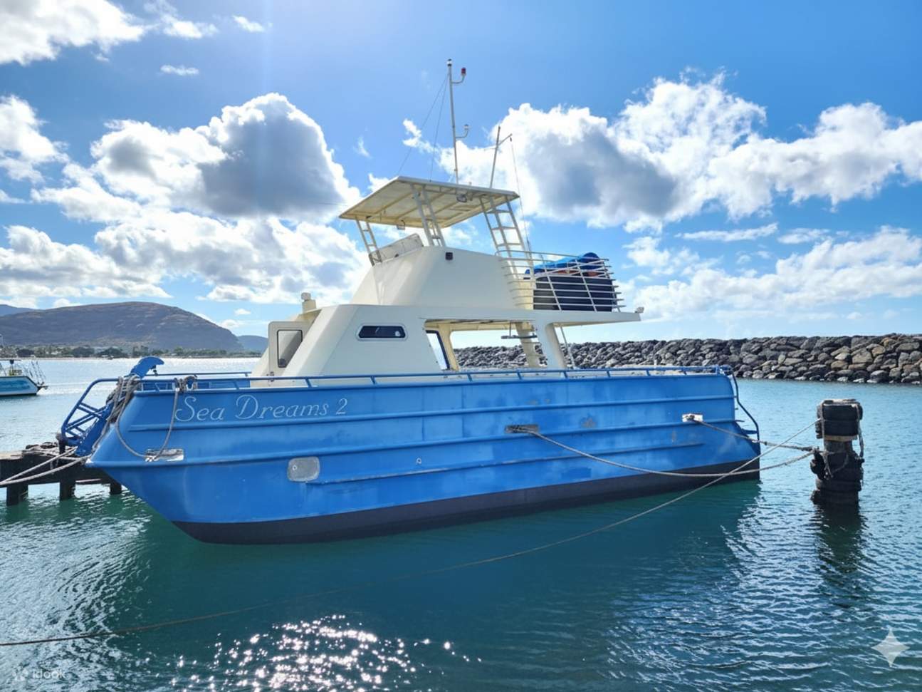 West Oahu Deluxe Whale Watch Sail Experience in Hawaii - Klook Hong Kong