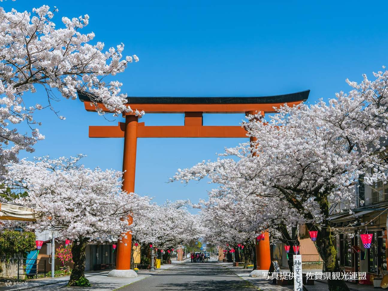 Saga: Yutoku Inari Shrine & Ogi Park & Tosu Premium Outlets Day Trip ...