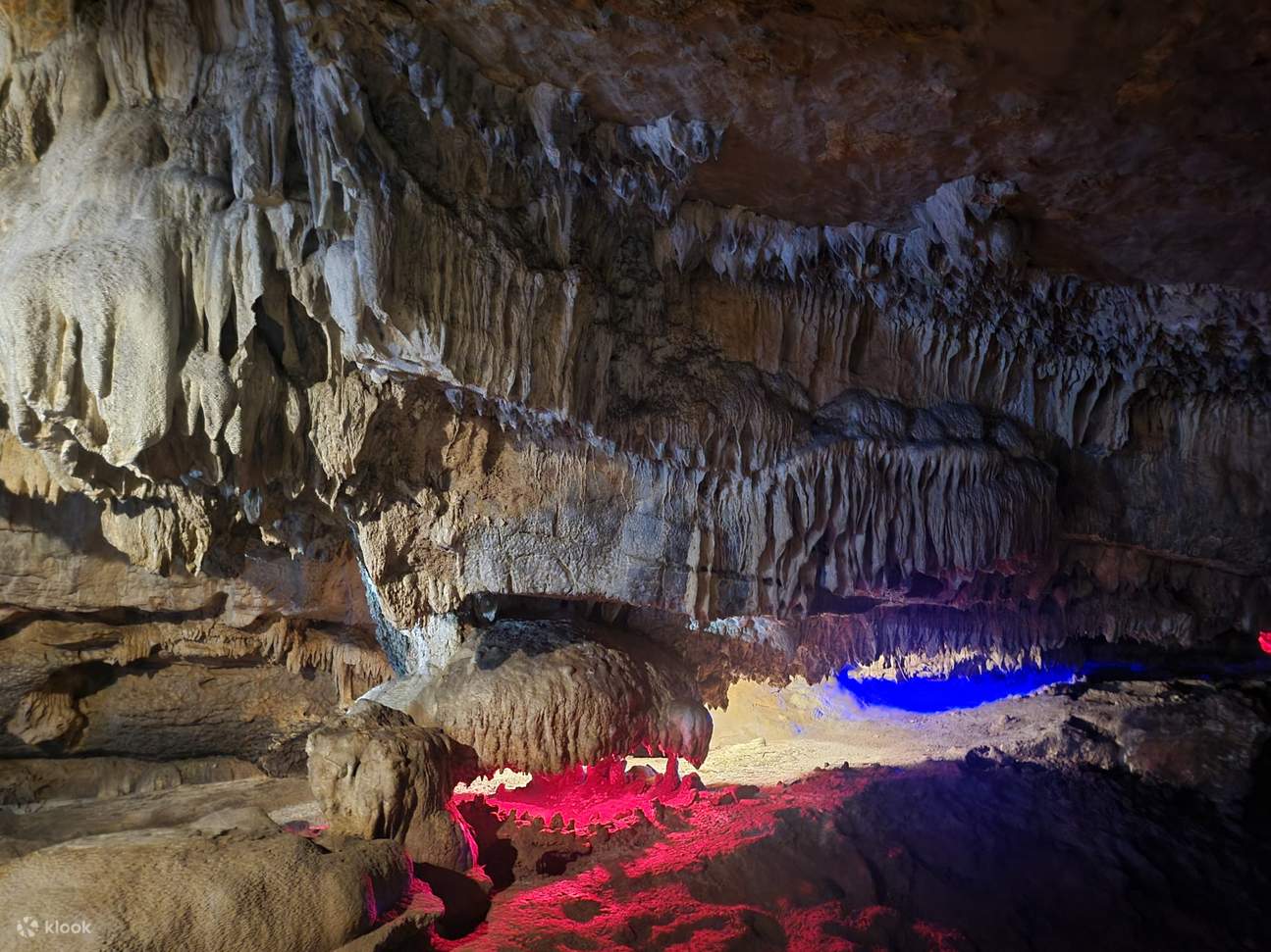 Bai Dinh Pagoda & Galaxy (Thien Ha) Grotto Ninh Binh Day Tour from ...